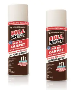 I Bought The Bull Shot Carpet Cleaner: Here Is My Honest Review Of It ...