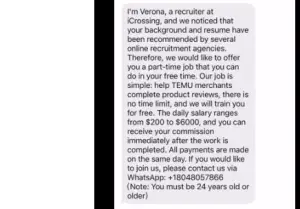 Temu Job Offer Scam: Beware Of These Scam Impersonating Temu! - Ibisik