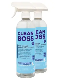 I Tried Clean Boss Botanical Disinfectant: Here’s Why I Won’t Buy It ...